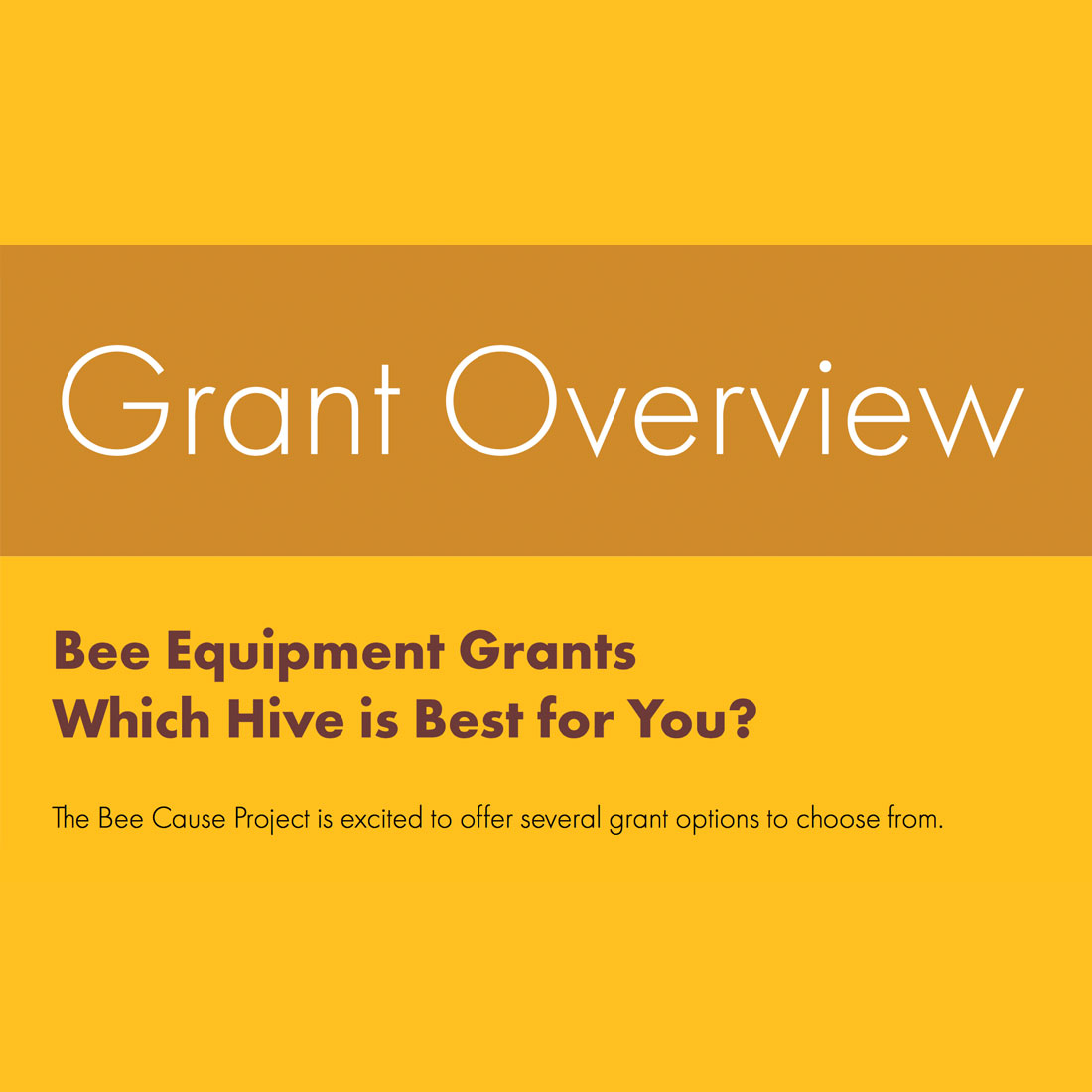 Bee Grant Program Overview – The Bee Cause