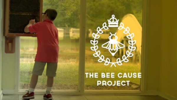 Contact – The Bee Cause Project