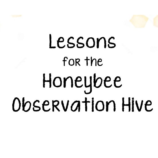 Resources – The Bee Cause