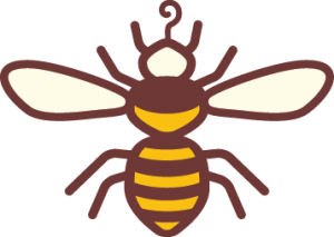 Bee Cause Curriculum: The Complete 6 Week Bee Unit + Teacher Guides ...