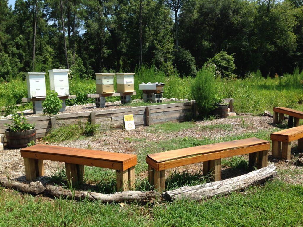 Outdoor Classrooms – The Bee Cause Project