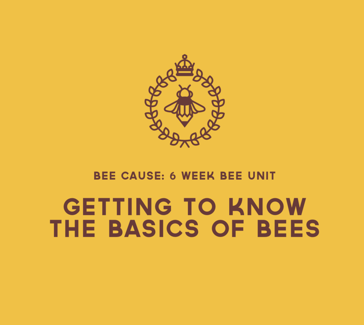 Bee Cause Curriculum: The Complete 6 Week Bee Unit + Teacher Guides ...