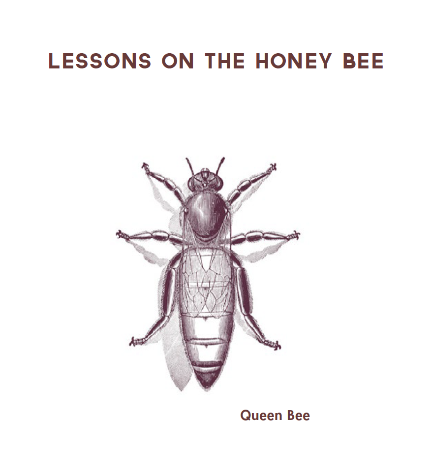 The Bee Cause Project Guide for STEM Investigations – The Bee Cause Project