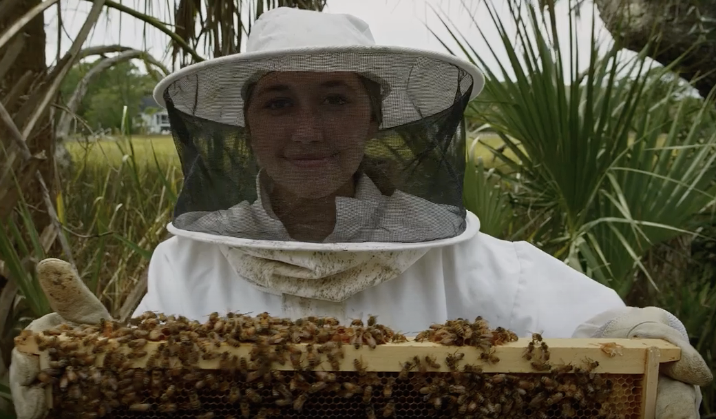Digital Field Trip: Honey Harvest Video + Educator’s Guide – The Bee ...