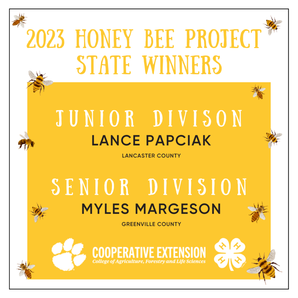 SC 4-H Honey Bee Project – The Bee Cause Project