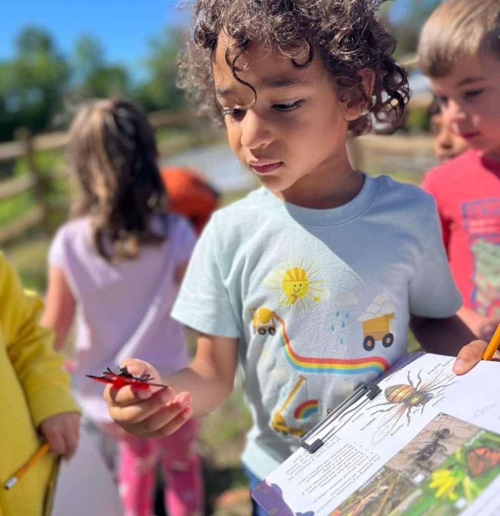 The Bee Cause Project – Charleston, SC