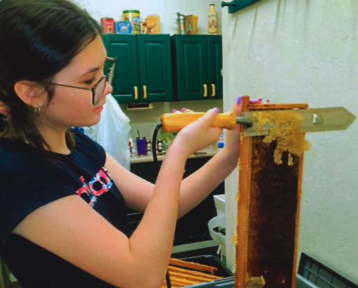 SC 4-H Honey Bee Project – The Bee Cause Project
