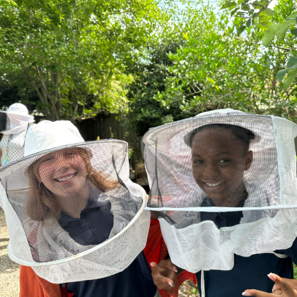 The Bee Cause Project – Charleston, SC