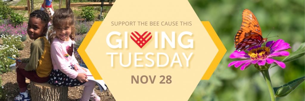 The Bee Cause Project – Charleston, SC