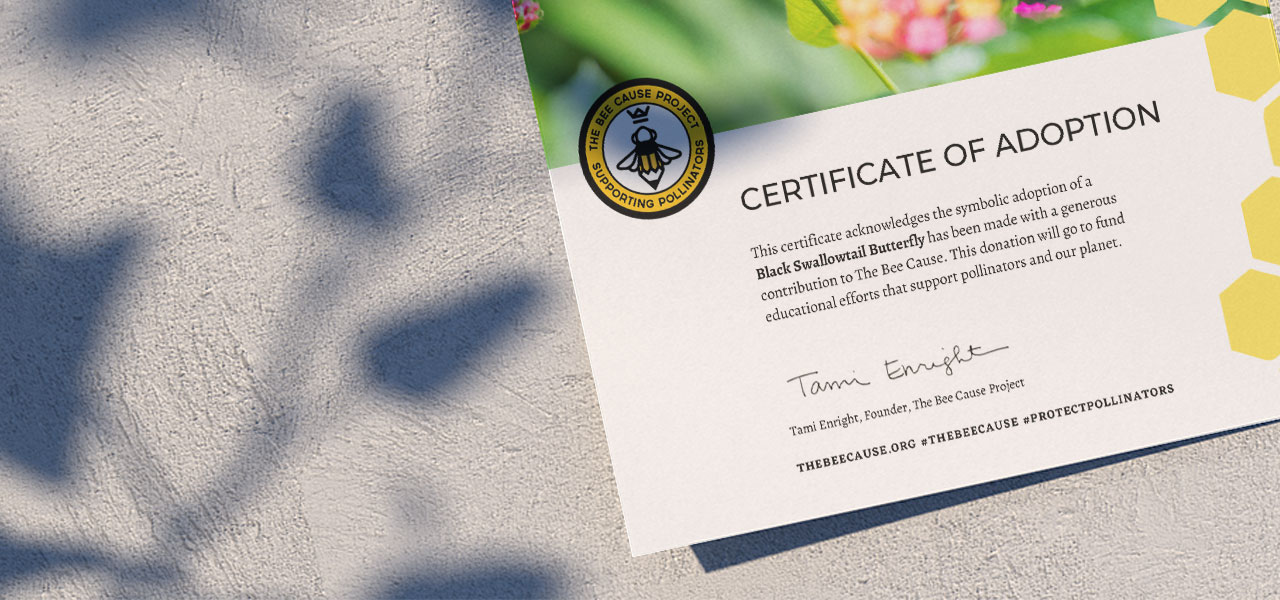 The Bee Cause Project – Charleston, SC