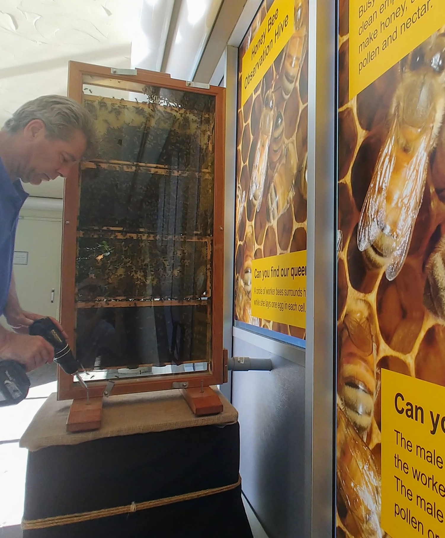 The Bee Grant – The Bee Cause Project