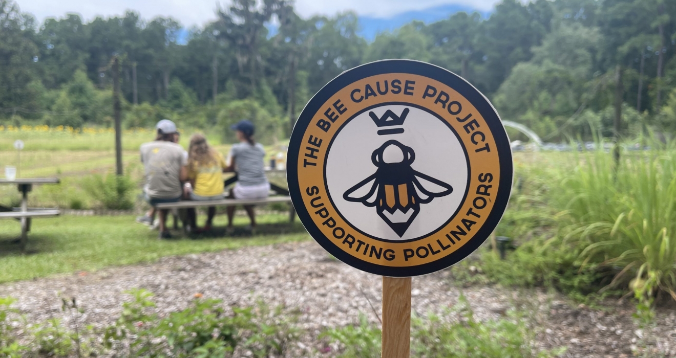 The Bee Cause Project – Charleston, SC