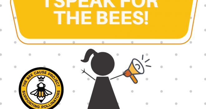 The Bee Cause Project – Charleston, SC