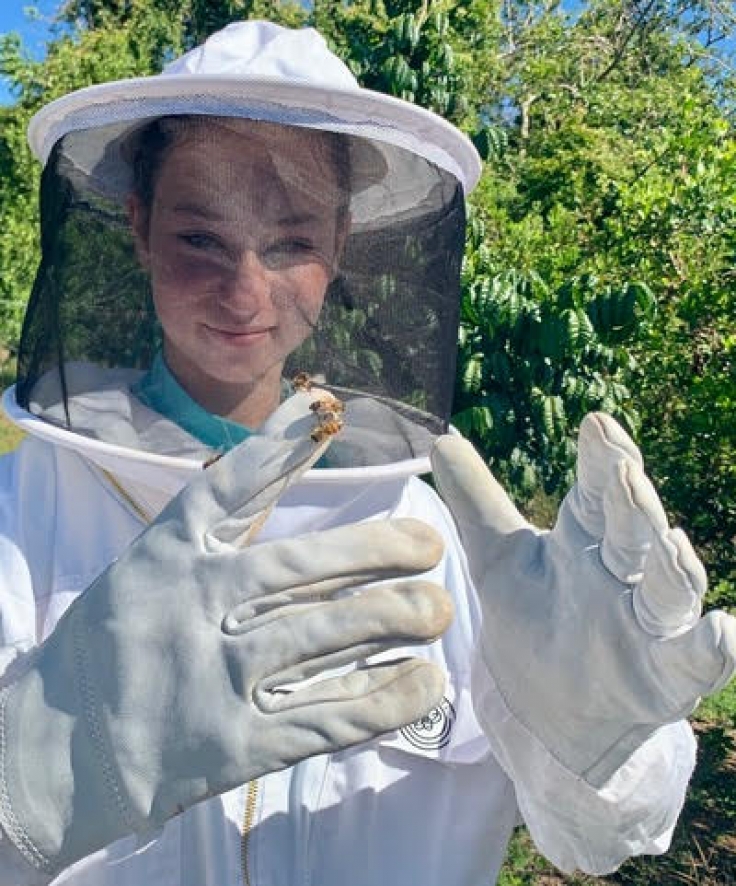 The Bee Grant – The Bee Cause Project