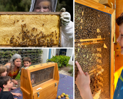 The Bee Cause Project – A non-profit dedicated to pollinator education ...