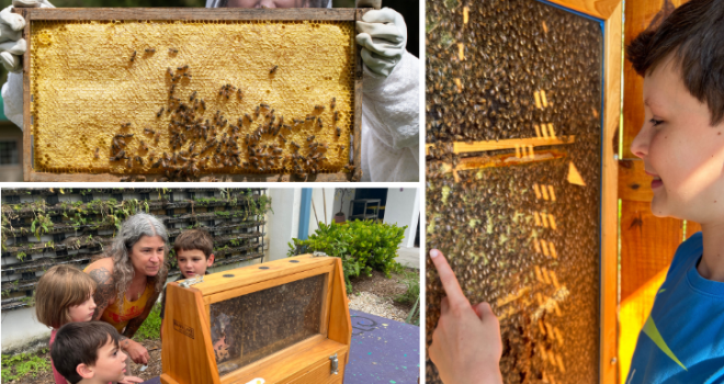The Bee Cause Project – A non-profit dedicated to pollinator education ...