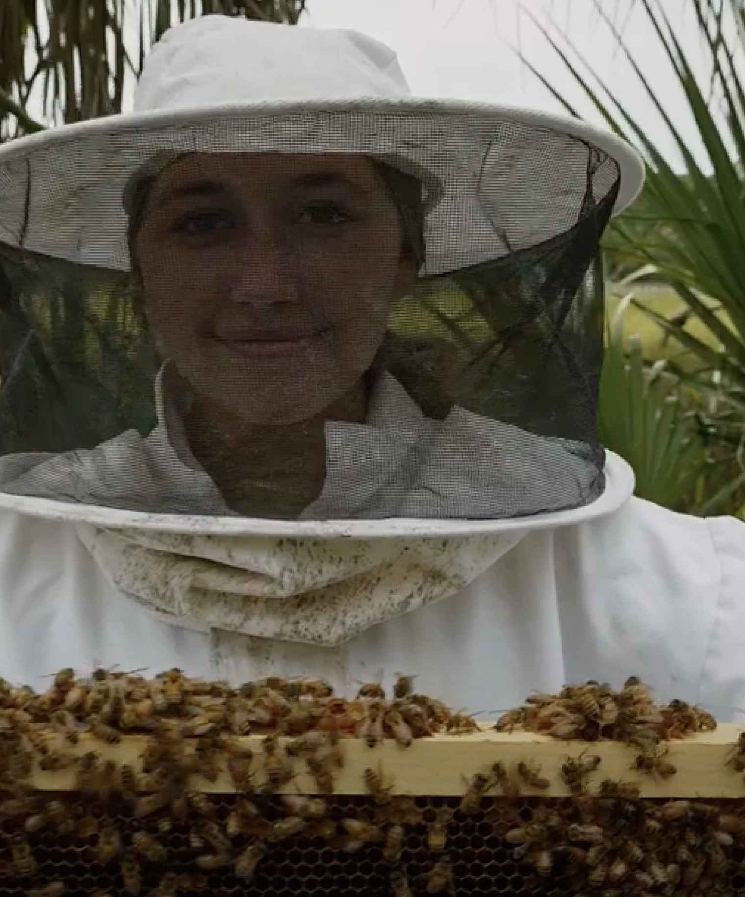 The Bee Grant – The Bee Cause Project