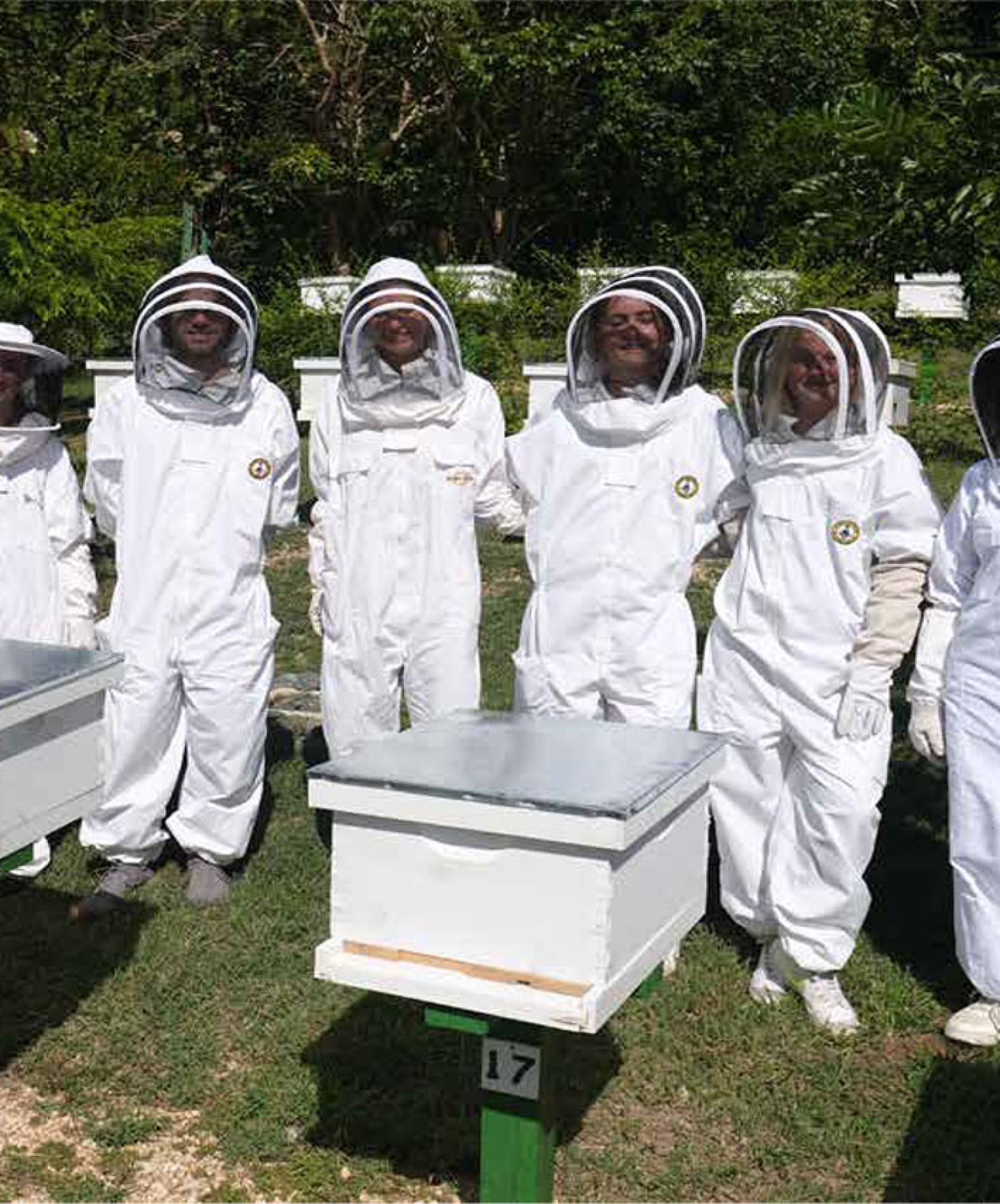 The Bee Grant – The Bee Cause Project
